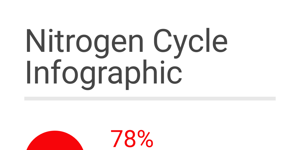 Nitrogen Cycle Infographic - Infogram