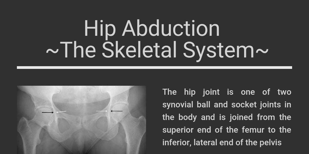 Hip Abduction ~The Skeletal System~ by christopher campbell - Infogram