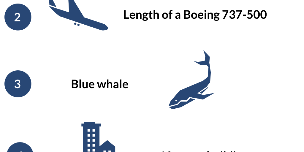 Things that are 100 feet tall by Graham Media - Infogram