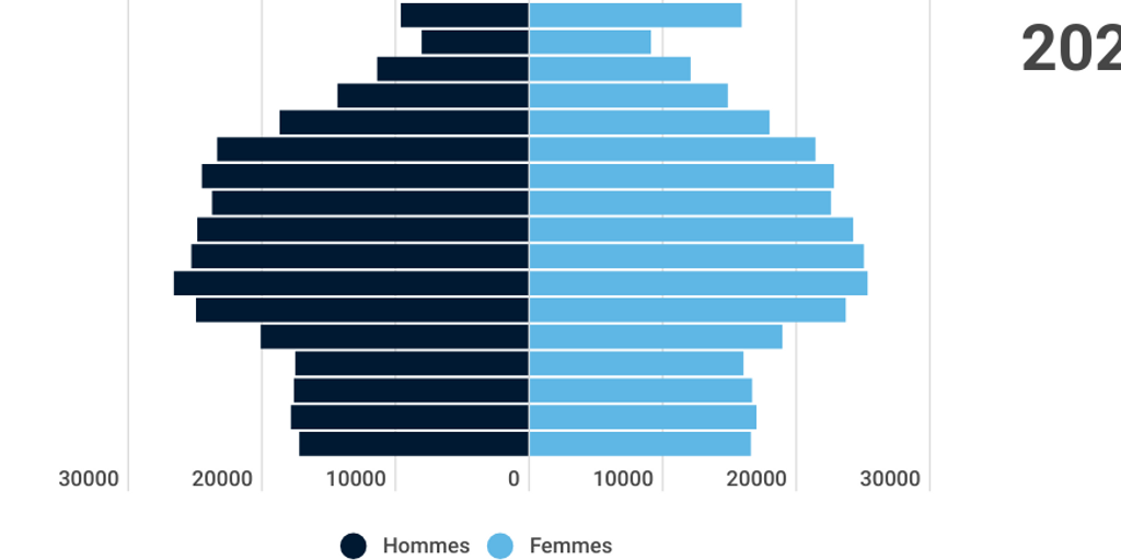 Pyramide des ages_2021 (fr) by Kathrin Tillmann - Infogram