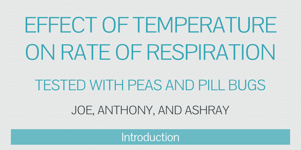 Effect Of temperature on rate of respiration by 64002352 - Infogram