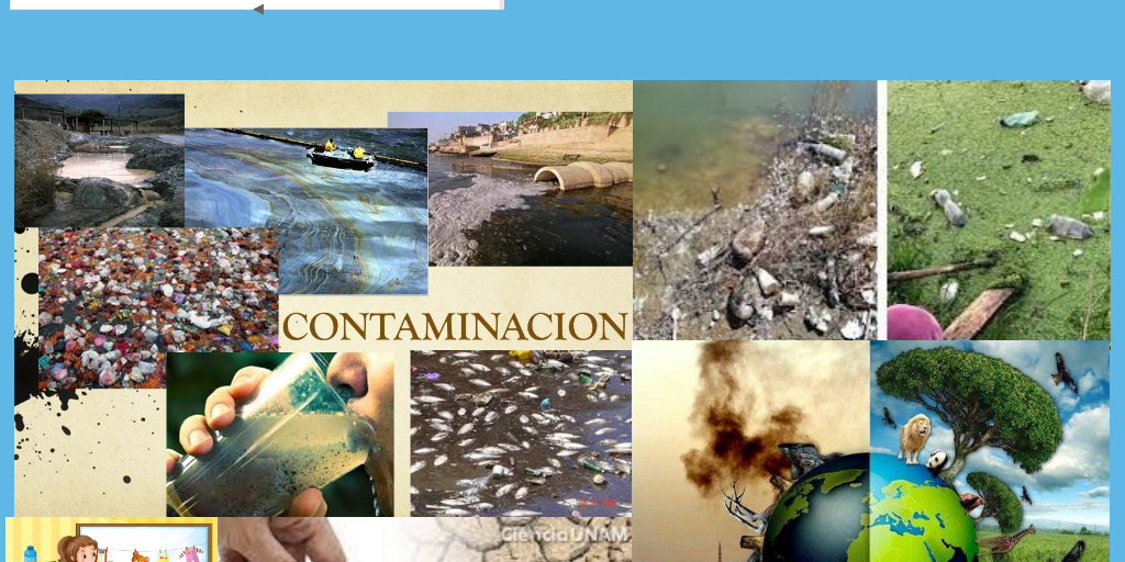 PROYECTO INTEGRADOR MODULO 20 - Infogram