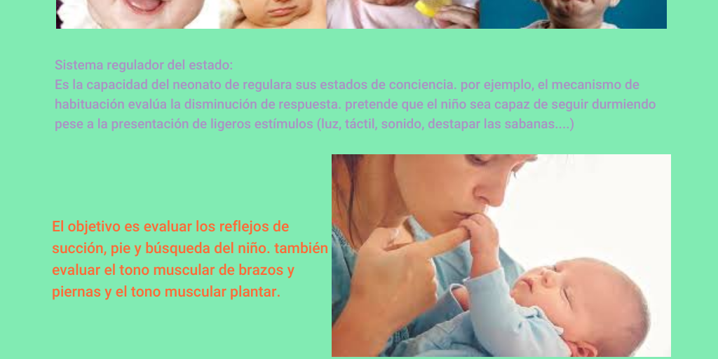 La escala de Brazelton para evaluar el comportamiento neonatal. - Infogram