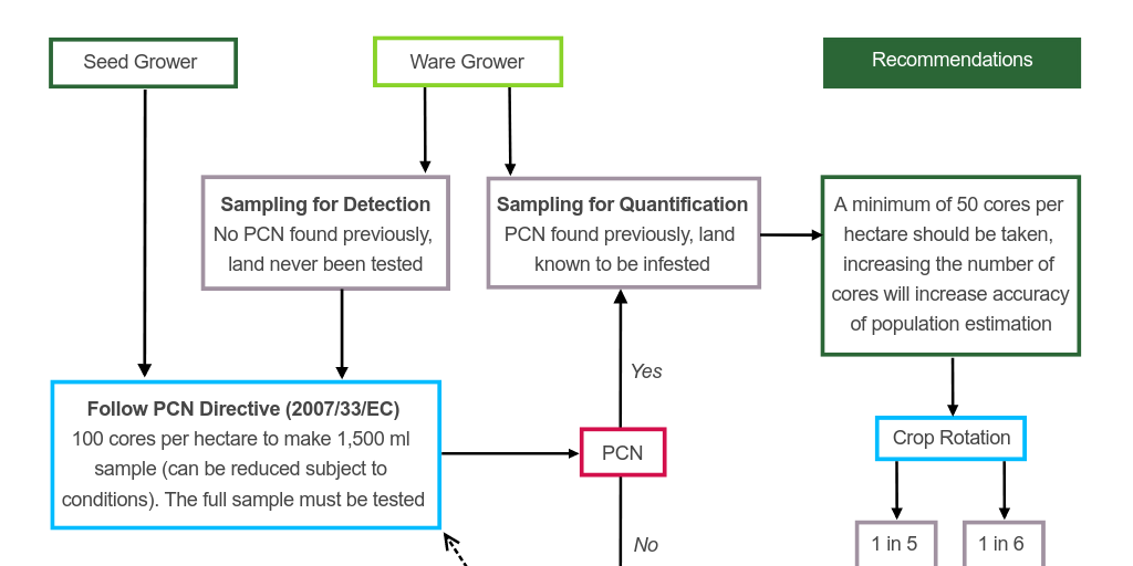 PCN flowchart by Rachael Roberts - Infogram