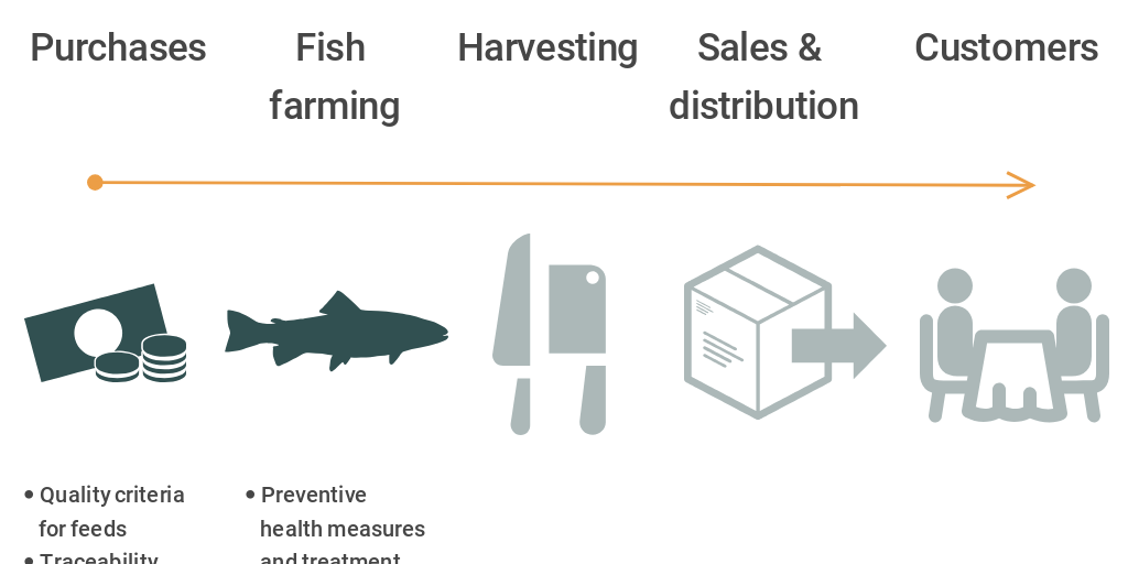 Value chain Fish health by Ole-Jørn Borum - Infogram