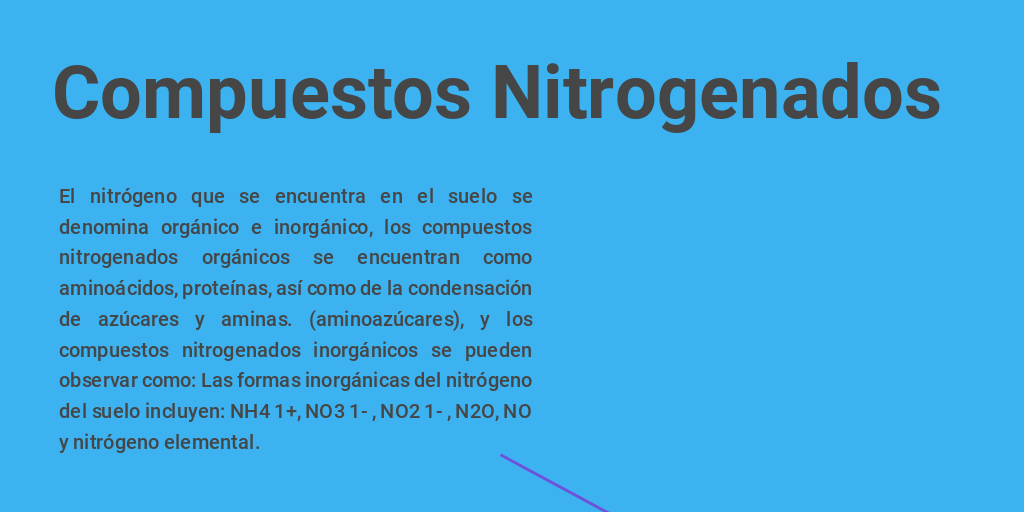 Compuestos nitrogenados - Infogram