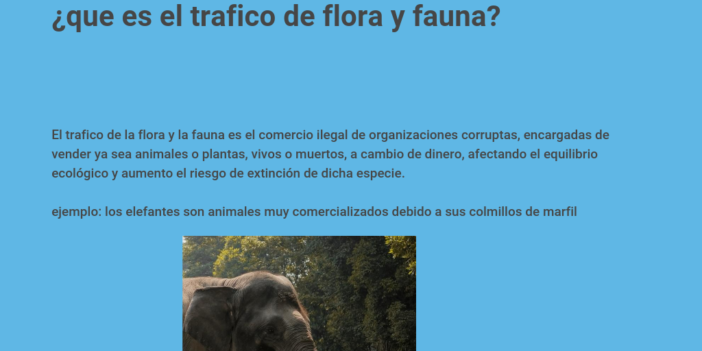 Infografiando Trafico De Flora Y Fauna By Appolusgame11 Apolo Infogram