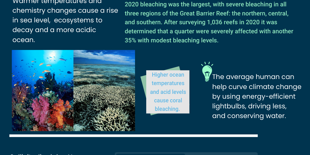 Marine Bio Assessment by Gianna Olivapotenza - Infogram