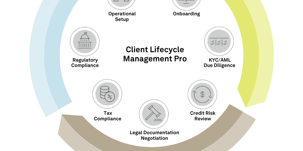 Social Media: CLM Pro Infographic by MI - Segment Marketing - Infogram