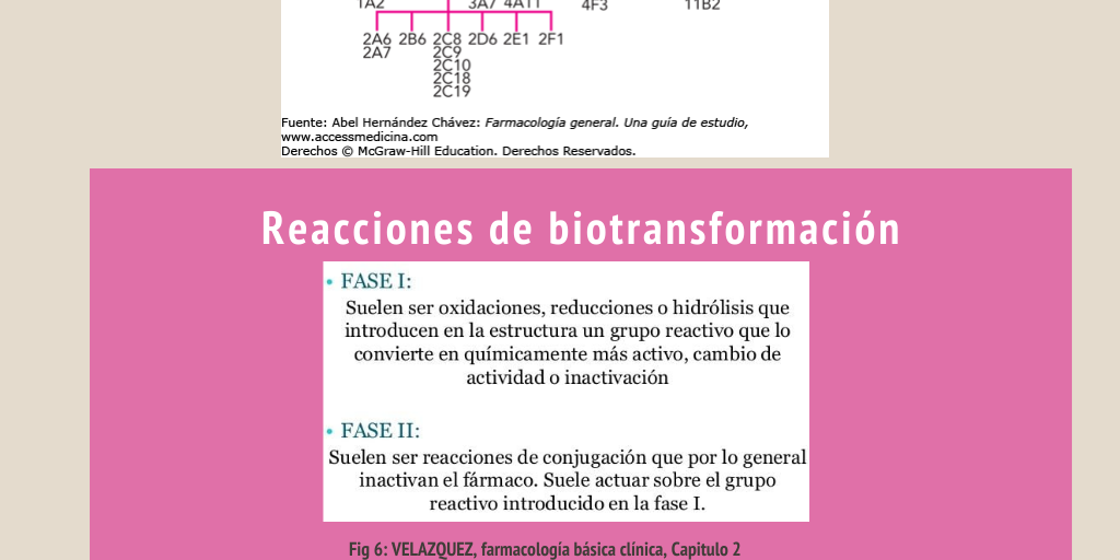 Ocean Sand by Ana Anaya - Infogram