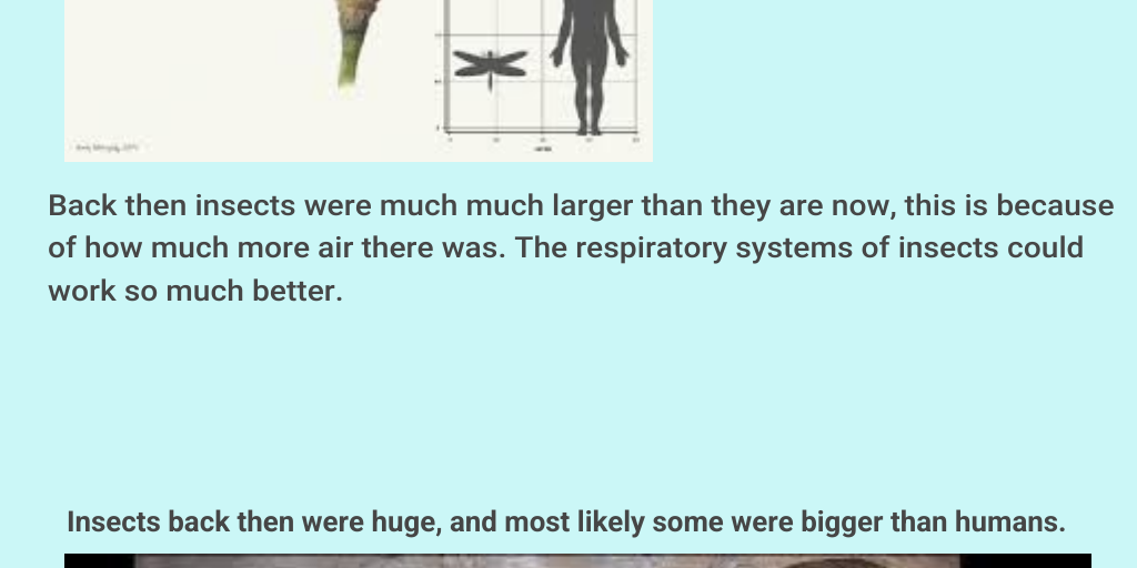 Ethan Shook Formation of Earth Visual by ETHAN SHOOK - Infogram