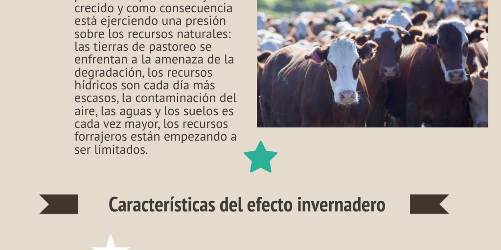 Impacto Ambiental Detrás Del Consumo De Carne Infogram
