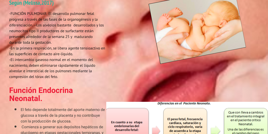 FISIOLOGIA ADAPTACIÓN NEONATAL. by yojana Patricia Barrera - Infogram