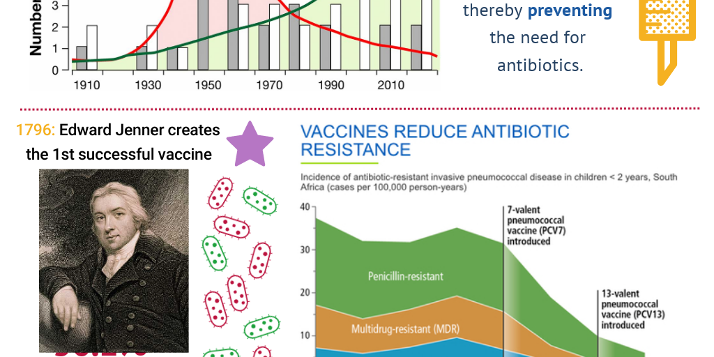 Angela Gao's Infographic : Antibiotic Resistance and Vaccines by Angela ...