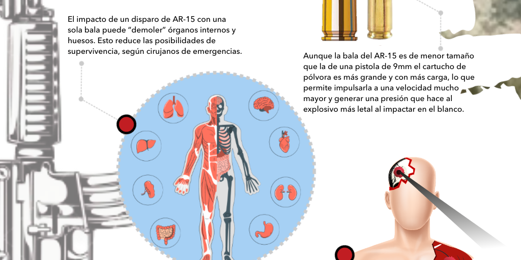 AR 15 2 by Lizandra Diaz - Infogram