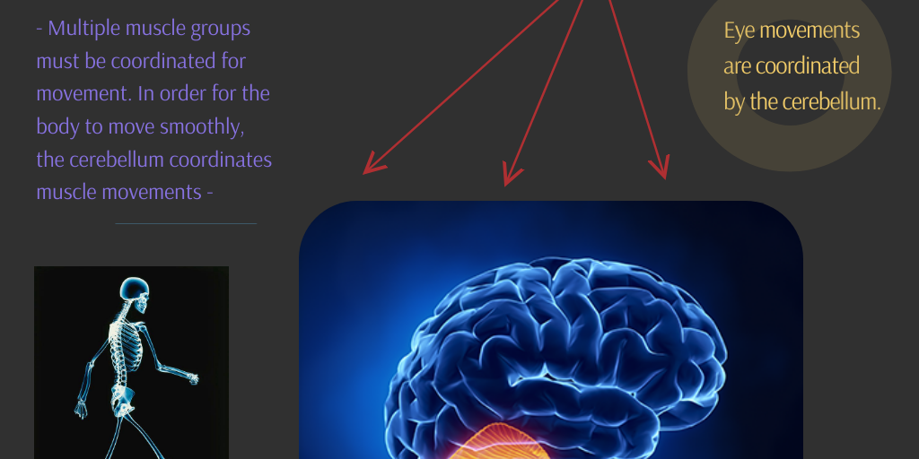Timeline Dark Infographic by Jana Raed Mahmoud - Infogram