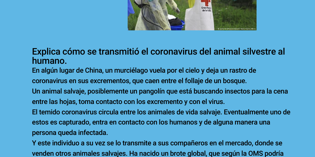 IMPACTOS DEL HUMANO EN EL AMBIENTE by Julian Ruvalcaba - Infogram