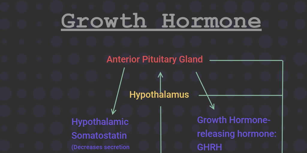 Growth Hormone Concept Map by KAYLA TOUSSAINT - Infogram