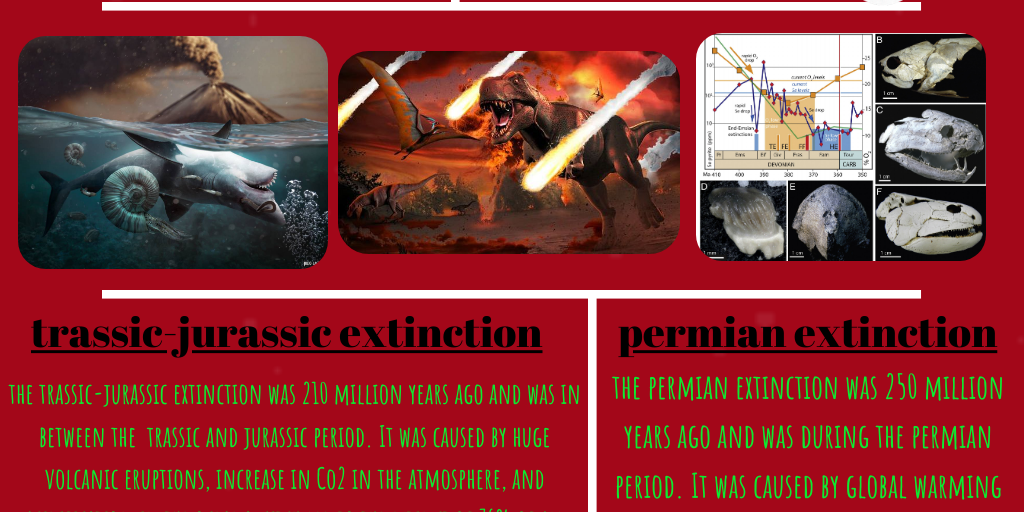 mass extinction infographic - Infogram