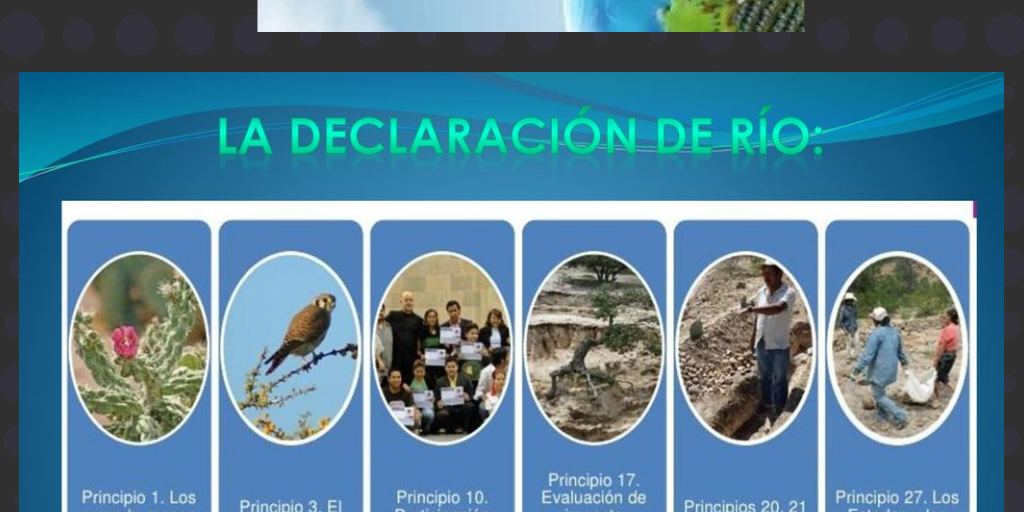 declaracion de rio - Infogram