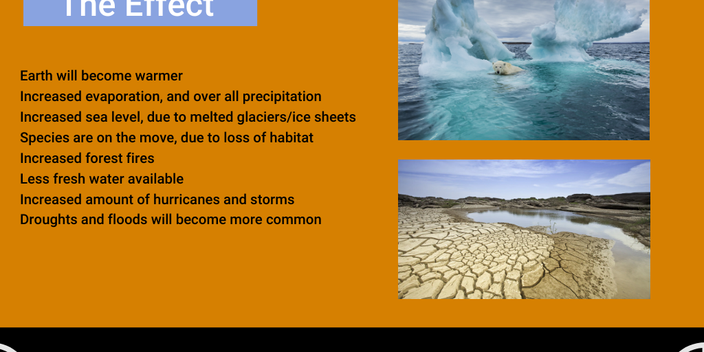 Climate Change Infographic by Bailey Holcomb - Infogram