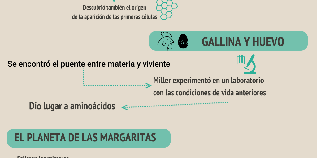 LA SOPA PRIMITIVA - Infogram