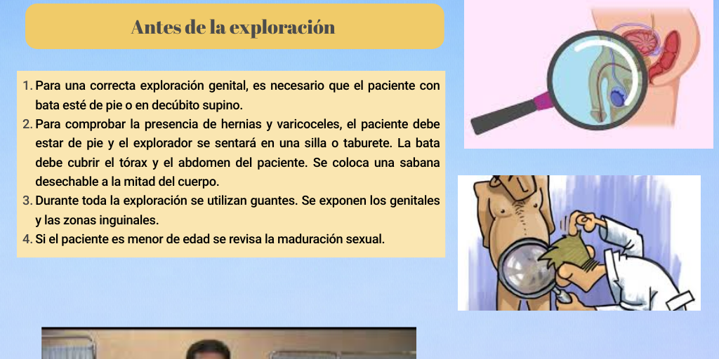 Exploración Física Del Aparato Genital Masculino By Fabiola Valverde