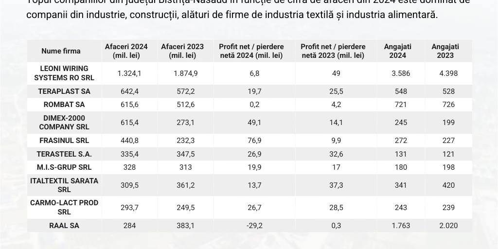 TOP 10 companii din Bistrița-Năsăud (2024) by Andreea - Infogram
