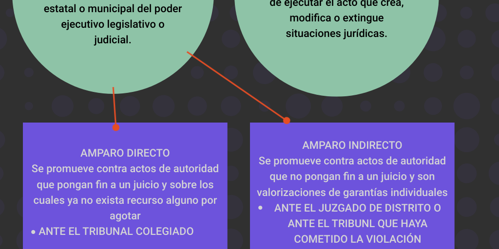 INFOGRAFIA SOBRE EL QUEJOSO by Alma Ortega - Infogram