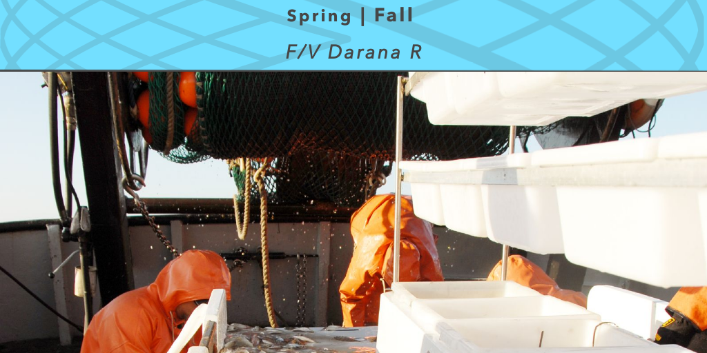 2024 NEAMAP by Debra Gauthier - Infogram