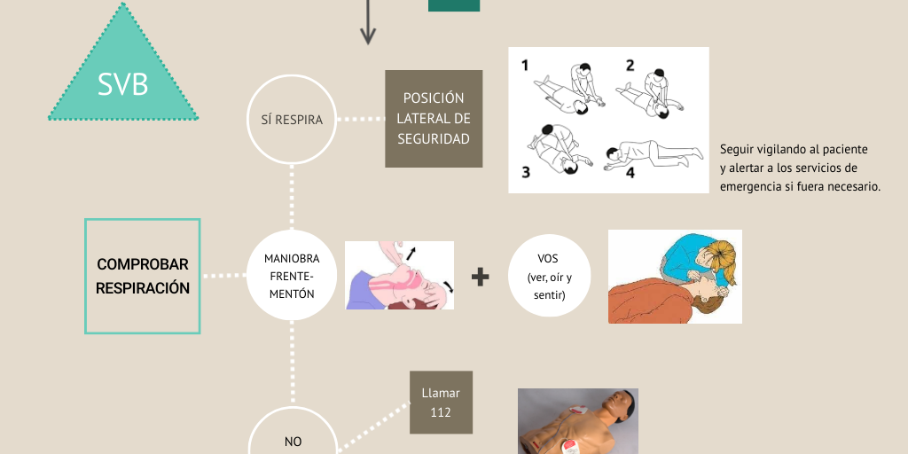 INFOGRAFÍA PCR - Infogram