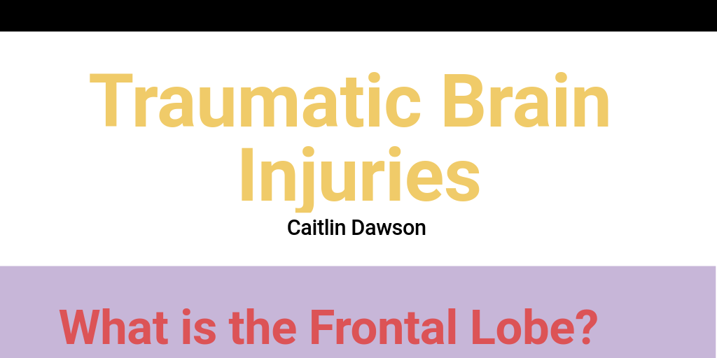 TBI InfoGraphic - Infogram