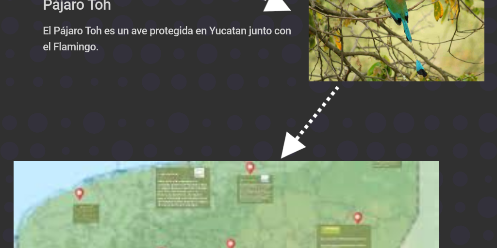 Convención Para La Protección De La Flora De La Fauna Y De Las