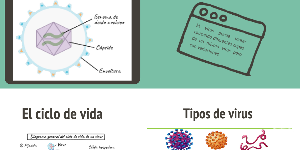 virus by Ximena Fernandez - Infogram