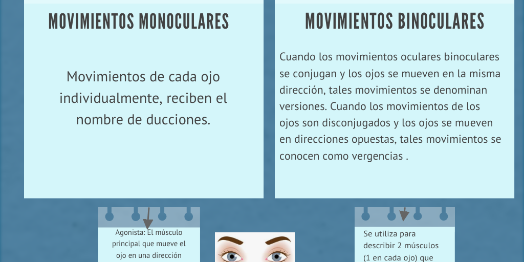 POSICIONES DE MIRADA by Maria Forero - Infogram