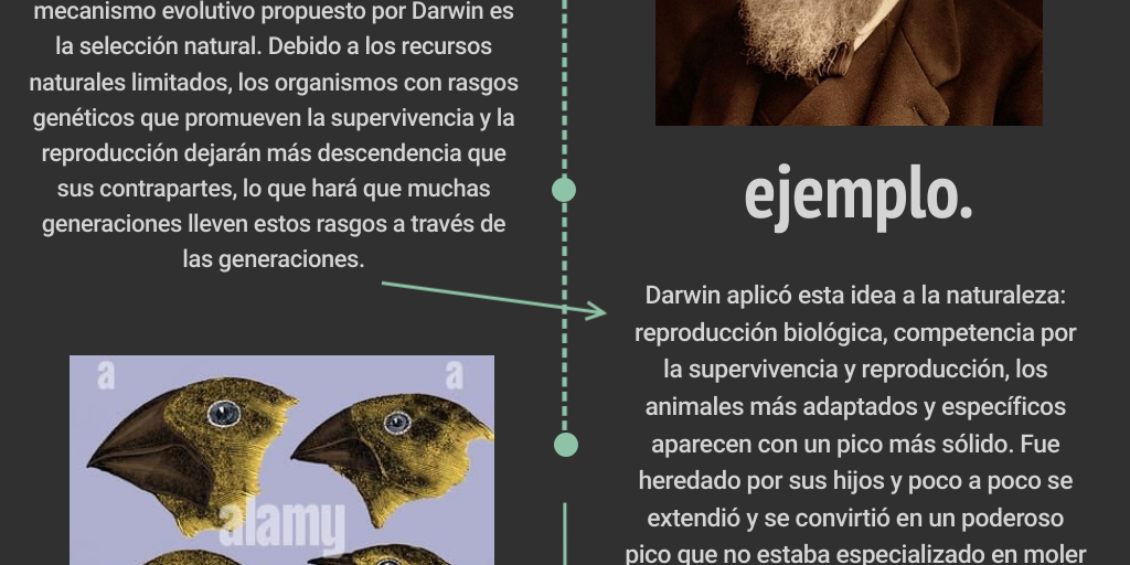 prepa en linea sep - Infogram