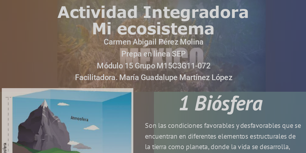 Infographic Modern by Abigail Perez Molina - Infogram
