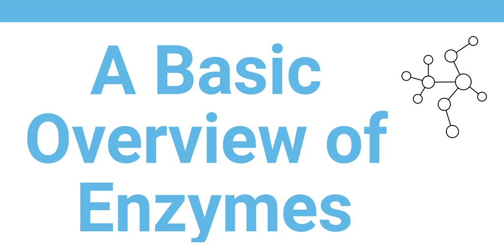 Enzyme Infographic by Samantha Page - Infogram