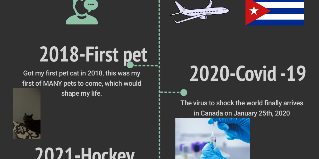 Timeline Dark Infographic by Michael Berardo - Infogram