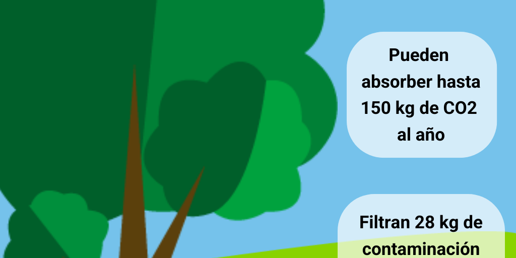 Beneficios de los árboles by Pairus 2019 - Infogram