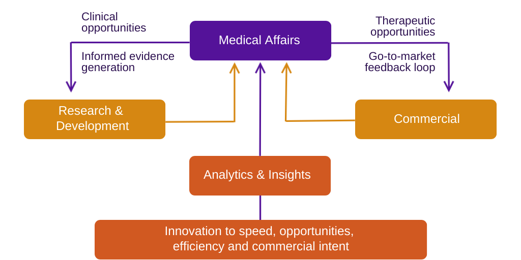 Medical Affairs Flow Chart by Definitive Healthcare - Infogram