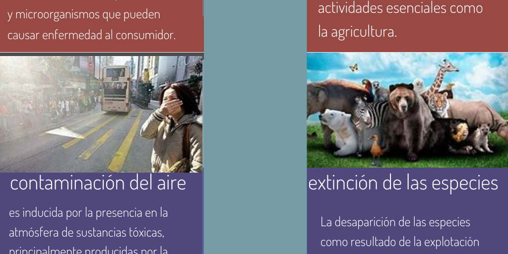 infografía consecuencias de la contaminación ambiental - Infogram