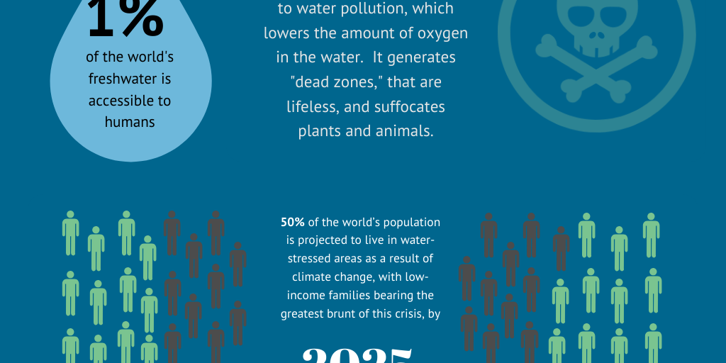 water pollution infographic - Infogram