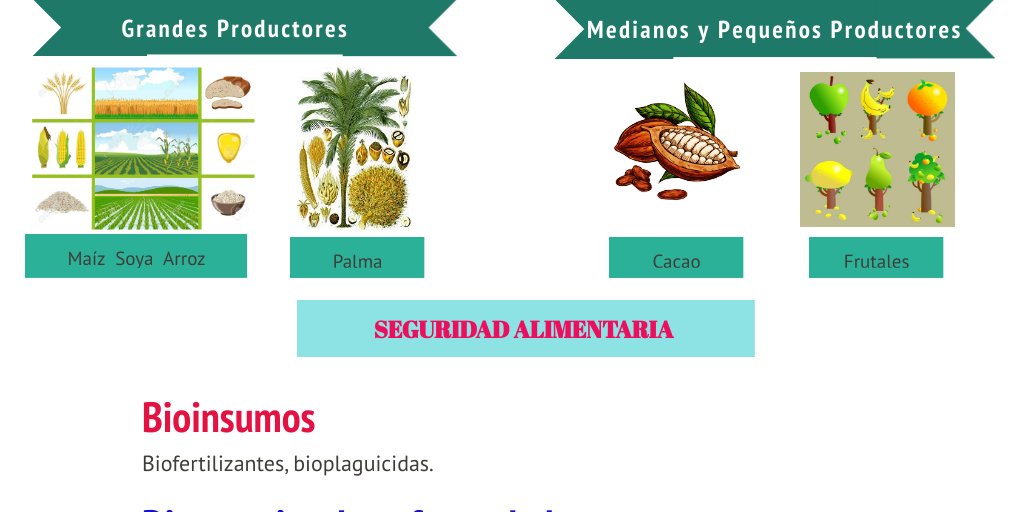 Busy Charts by Anderson Avila - Infogram