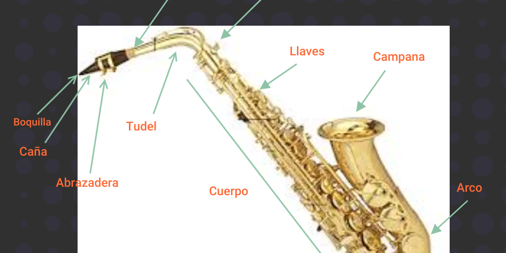 Partes del saxofon - Infogram