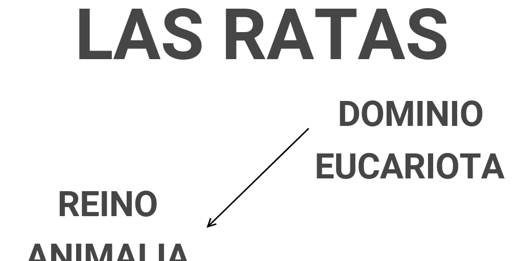 Taxonomía del ratón - Infogram