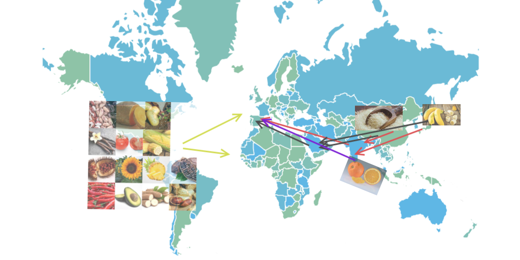 World Map by Julia Celiz - Infogram