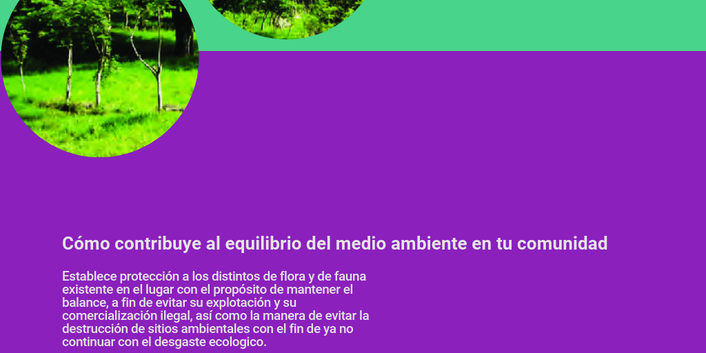 Convención Para La Protección De La Flora De La Fauna Y De Las