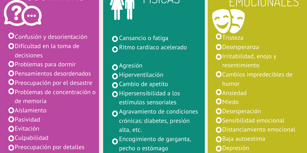Reacciones y fases_Taller PAP by Linda Milenka - Infogram