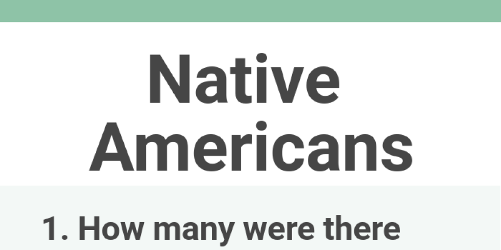 Native American Infographic by MAMMS Group - Infogram